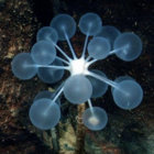 13 Angels Standing Guard 'Round The Side Of Your Bed | A Silver Mt ...