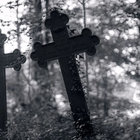 Antichthon | Unwished | SwissDarkNights Label