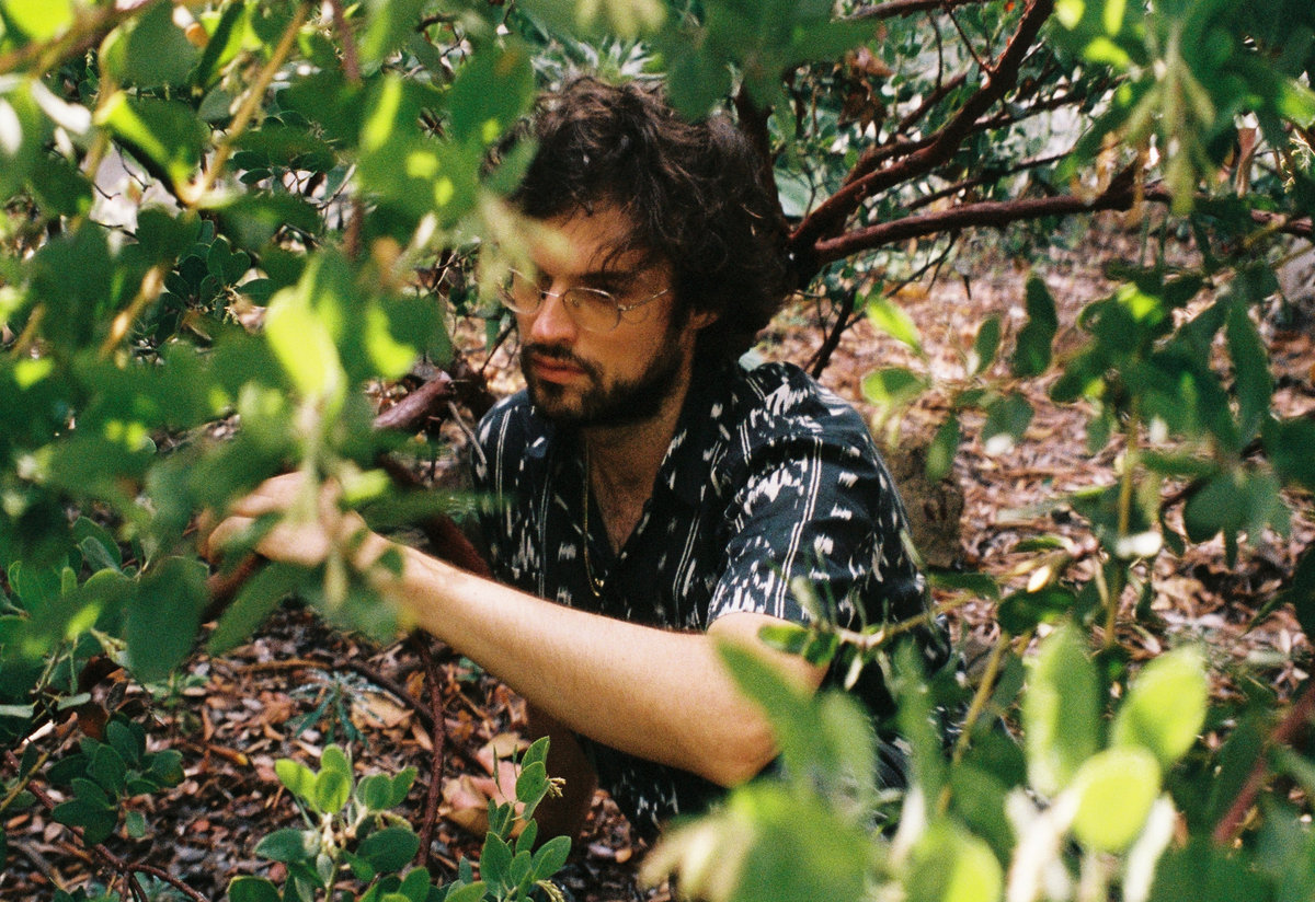 The Fool (Expanded Edition) | Young Jesus