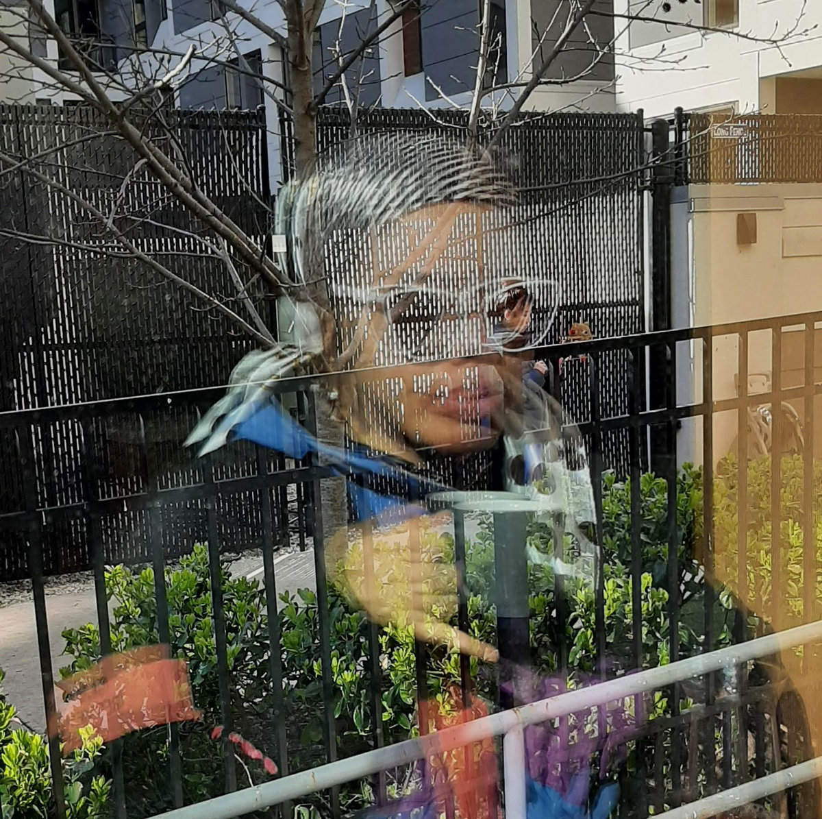 Until Then... | Powder Blue