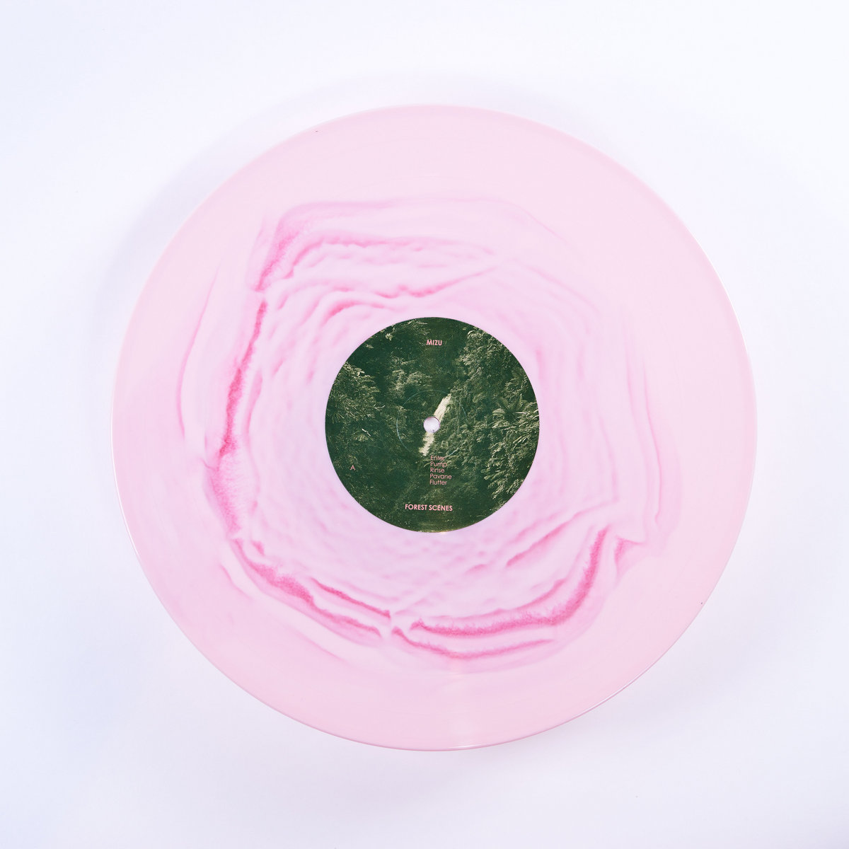 Forest Scenes | MIZU