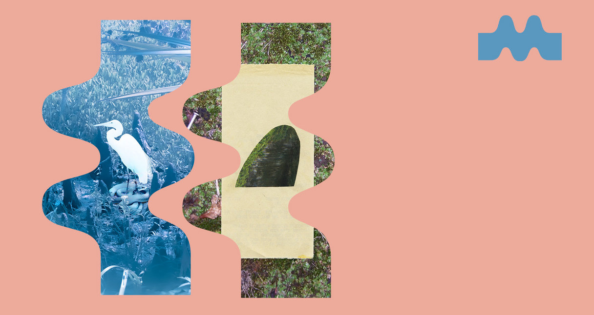 The Best Ambient Music on Bandcamp, February 2024 | Bandcamp Daily
