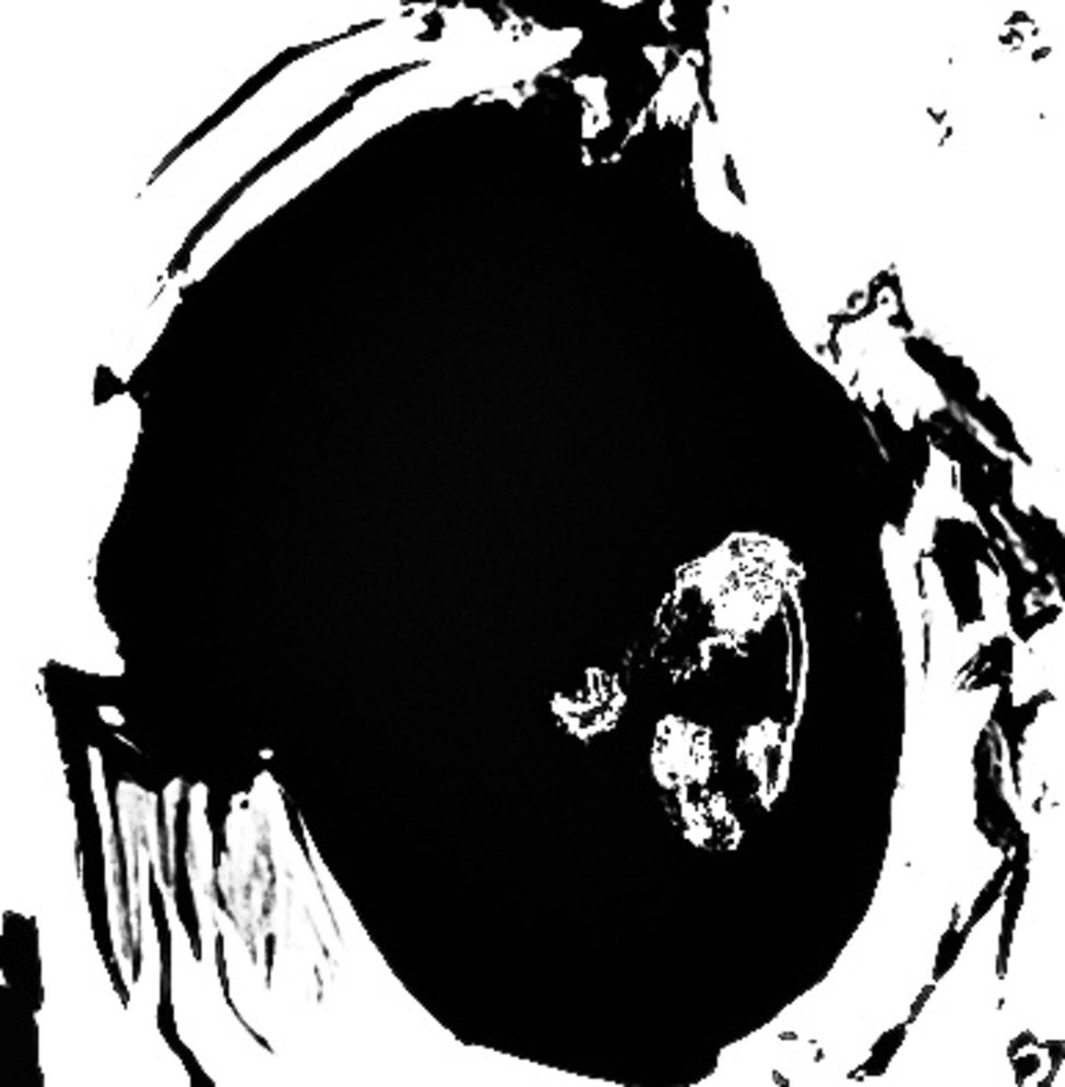 Hex Codex Book I | Hex Codex