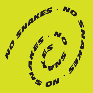 Artists | No Snakes