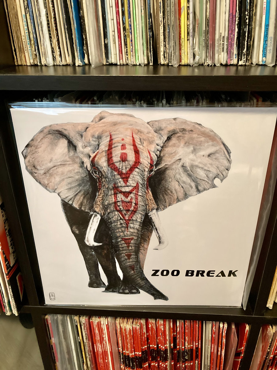 “My Eagle Has Landed”/ “Zoo Break” | dj pnutz