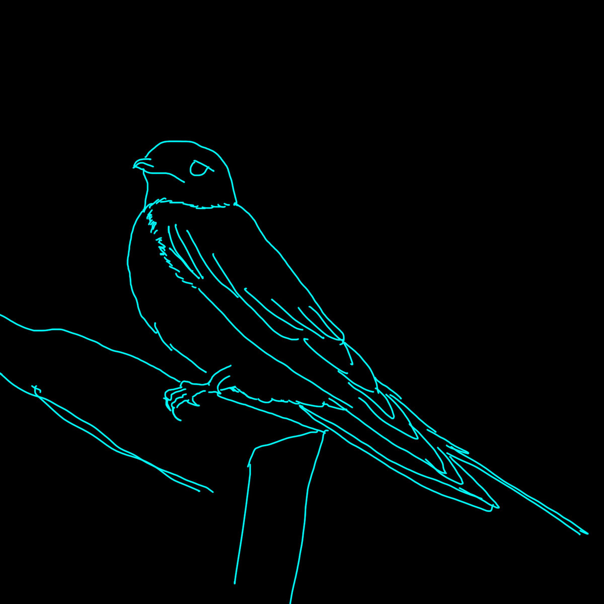 todokanaimono | tsubame. | tsubame