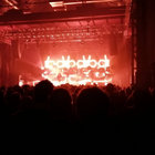 Exploding Trees & Airplane Screams | Patterson Hood