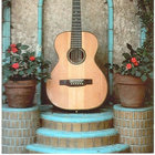 Gentle Wilderness | Rick Deitrick | Tompkins Square