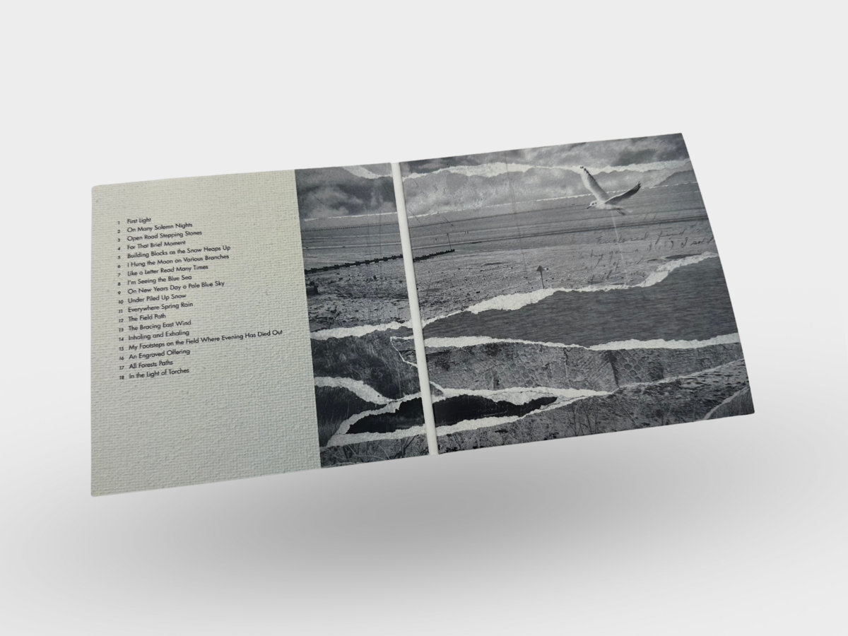 Vignettes | Adrian Lane | whitelabrecs