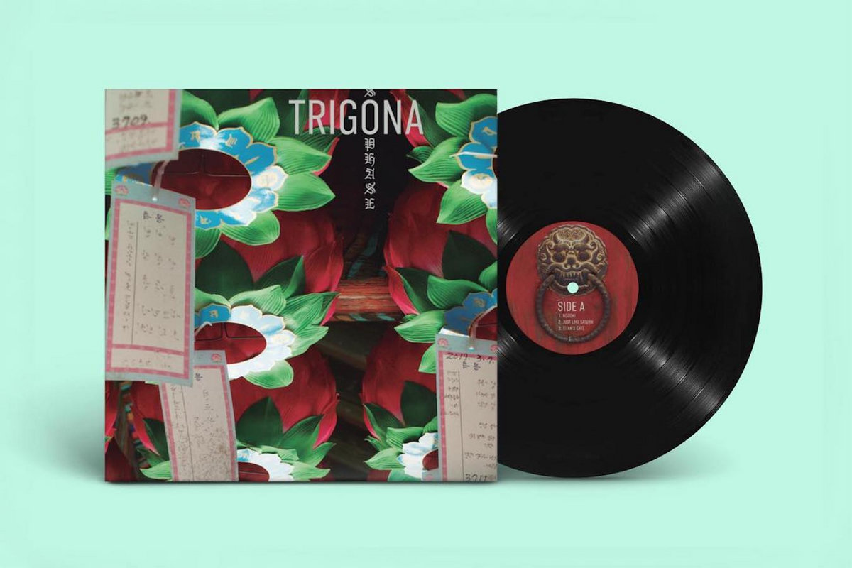 Isophase | Trigona | We, Here and Now!