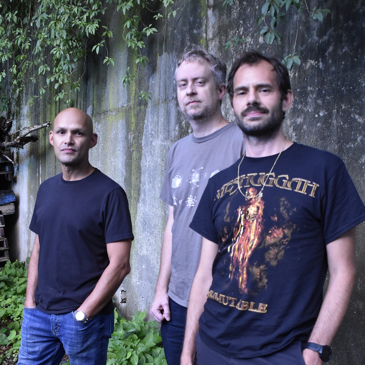 Even Odds | Dan Weiss | Dan Weiss EVEN ODDS