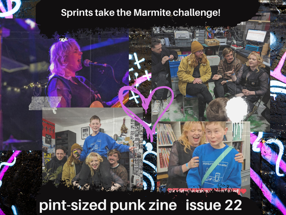 Issue 22 | pint-sized punk zine