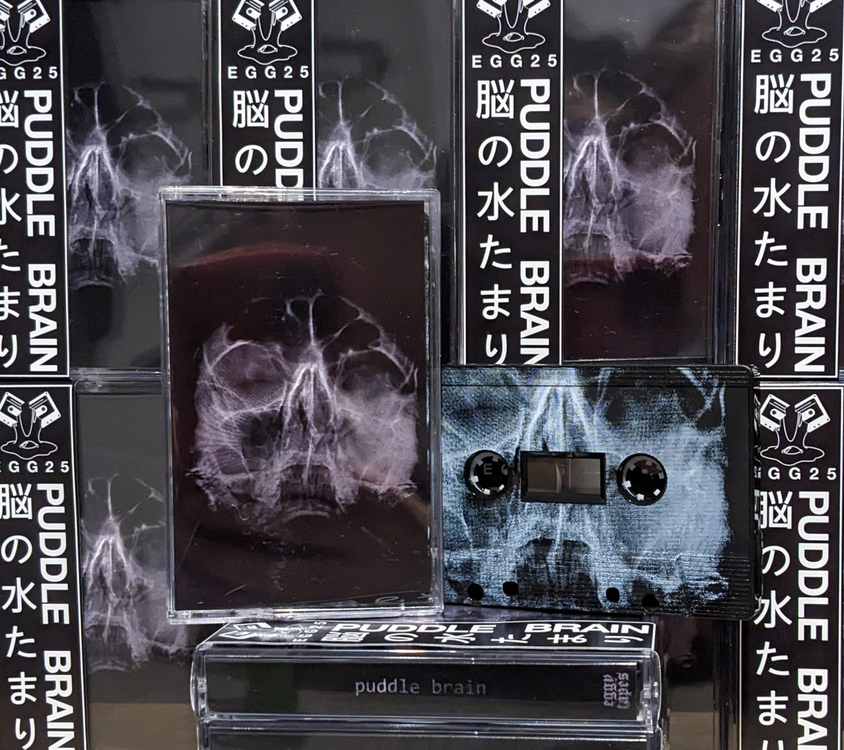 Puddle Brain | Puddle Brain | Eggy Tapes