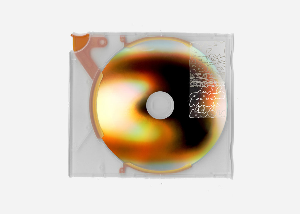 Still House Plants, “If I don ’ t make it, I love u” | Bandcamp Daily