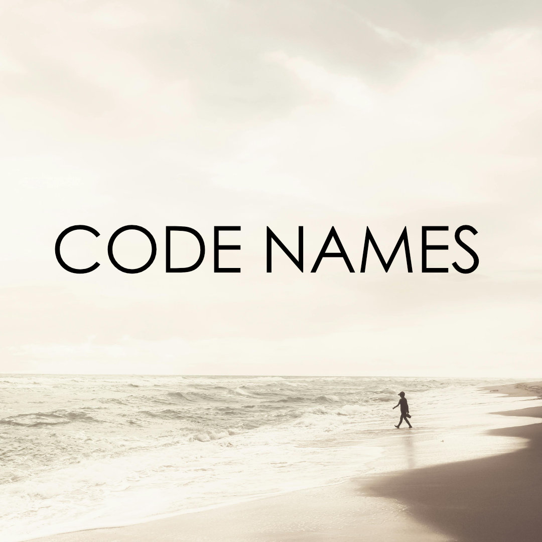 They Go Away demo Code Names they-go-away-demo-code-names