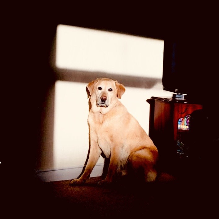 The Demo Album | Jacob Saunders