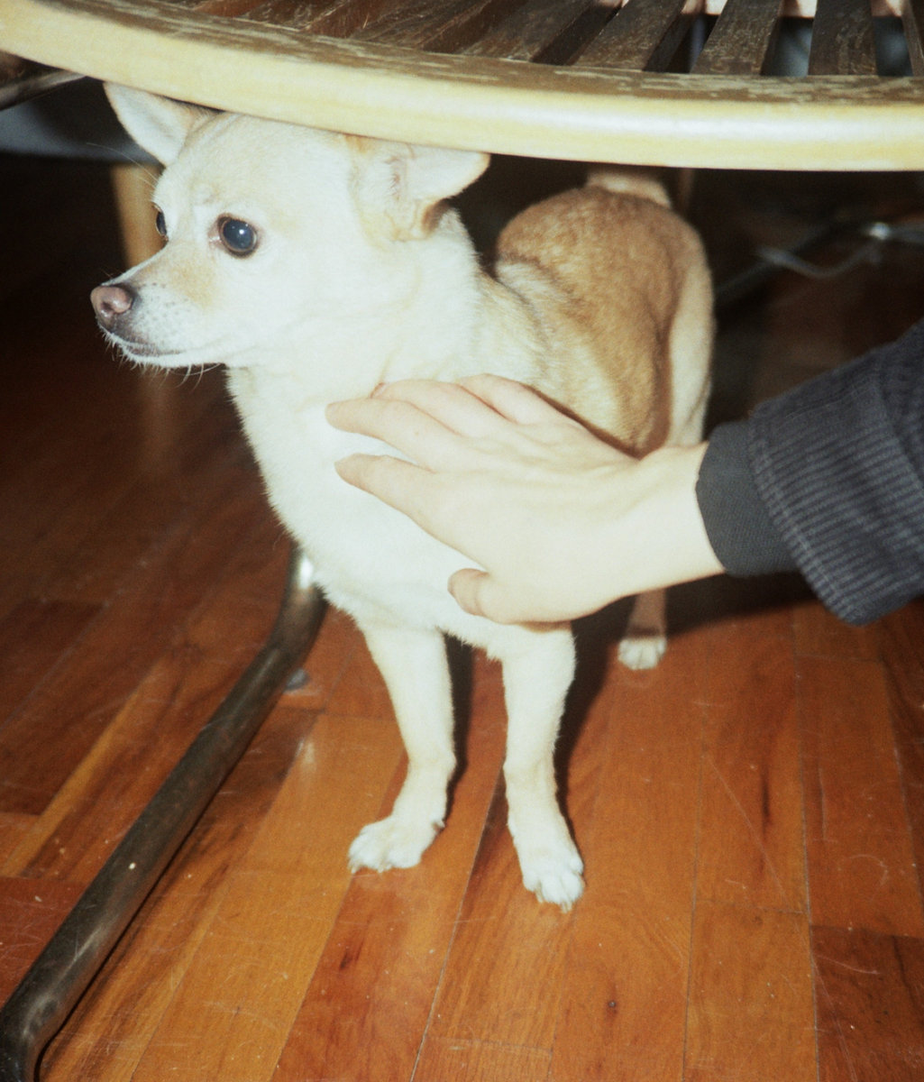 Fantastical Nothing Vol. 1 | Lokomoko