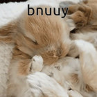 Super Ghostbusters | Vargskelethor