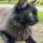 VXVXVX | Brawther | Chez Damier/Balance Recordings