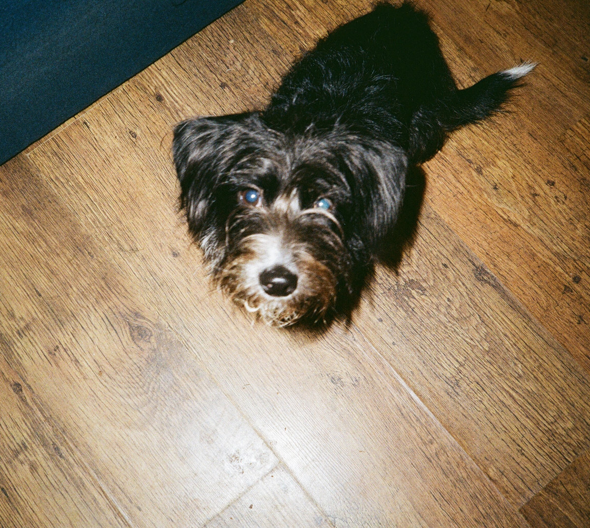 heavy set | Heavy Set