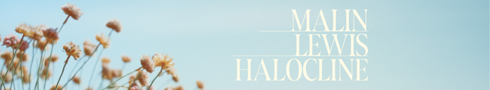 Halocline | Malin Lewis