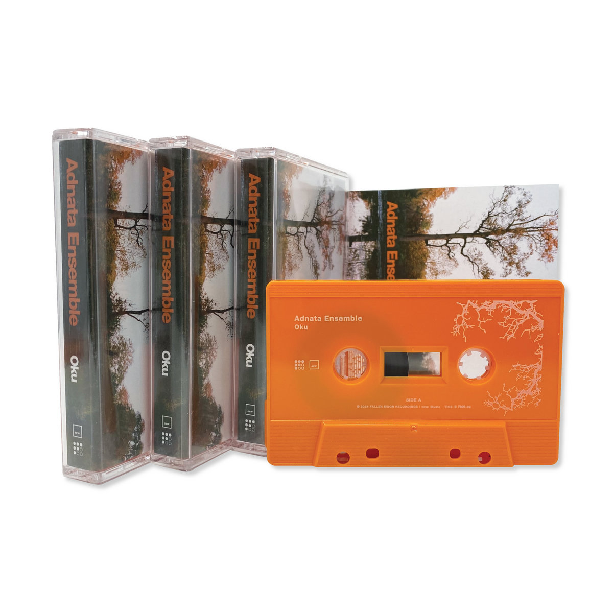 Oku - C456 Cassette [FMR-38] by Adnata Ensemble | Past Inside the Present