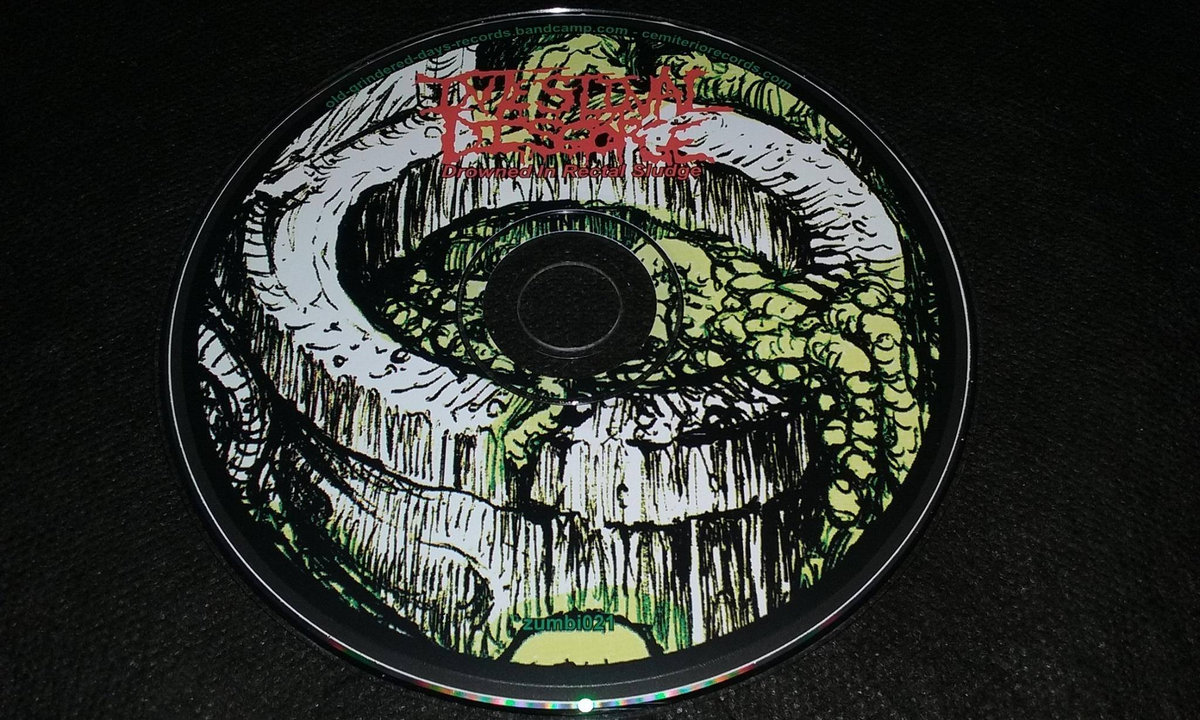 INTESTINAL DISGORGE: Drowned In Rectal Sludge – CD Re-release ...