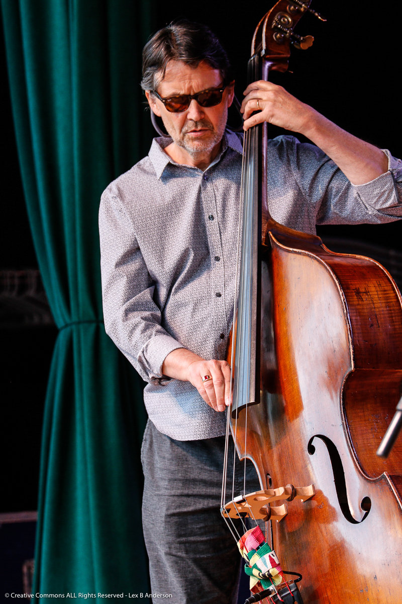 Stray | Steve Flygare, Harold Carr, Wayne Coons | haroldcarr