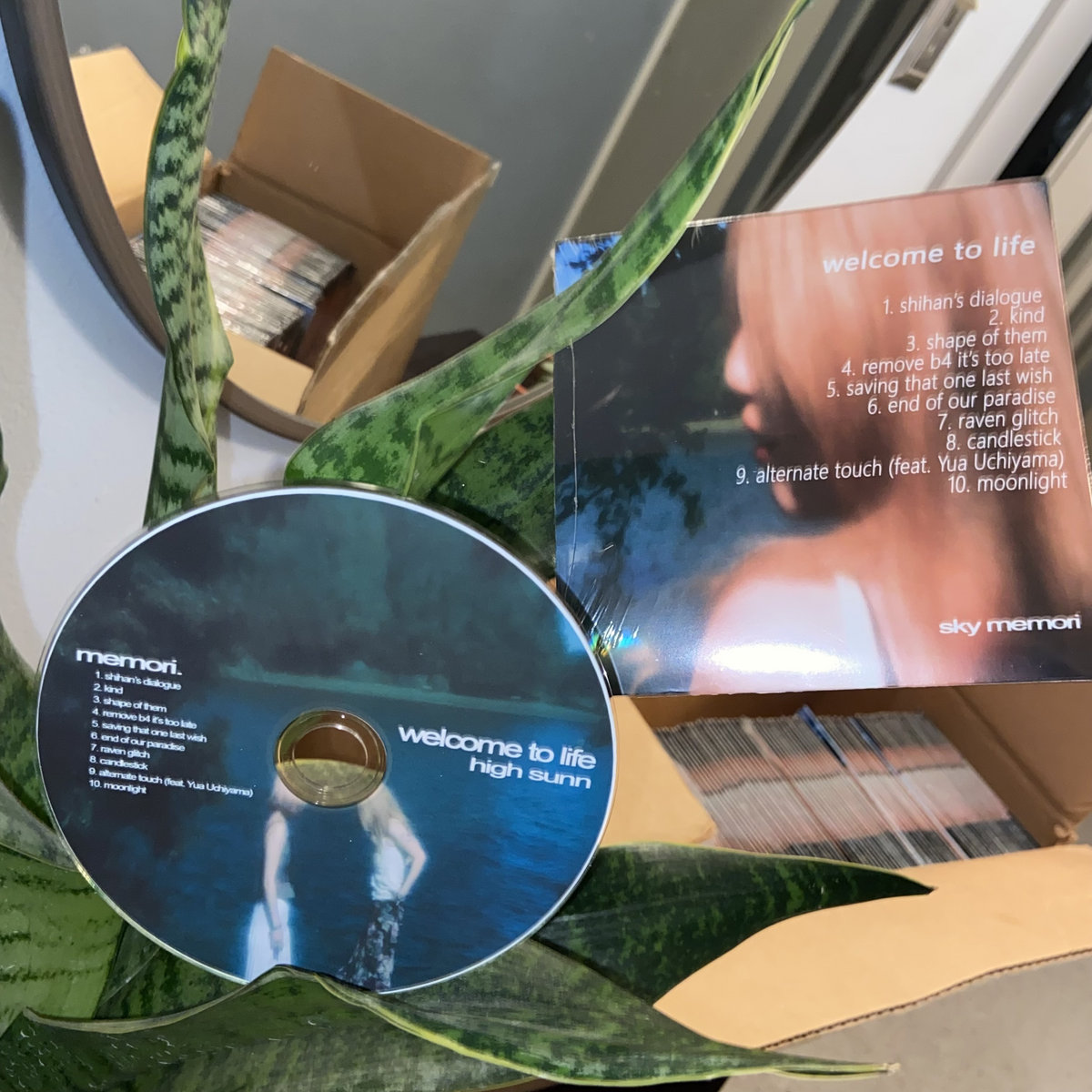 welcome to life | High Sunn