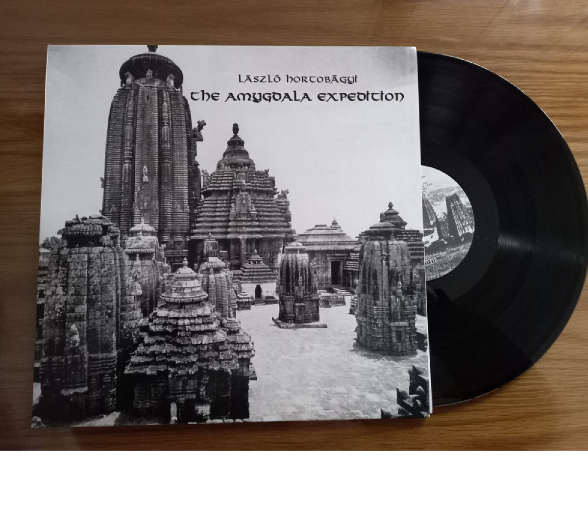 The Amygdala Expedition (Complete Edition) | Lāszlō Hortobāgyi | áMARXE