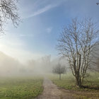 Time Bomb | DC (Rabbit in the Moon)