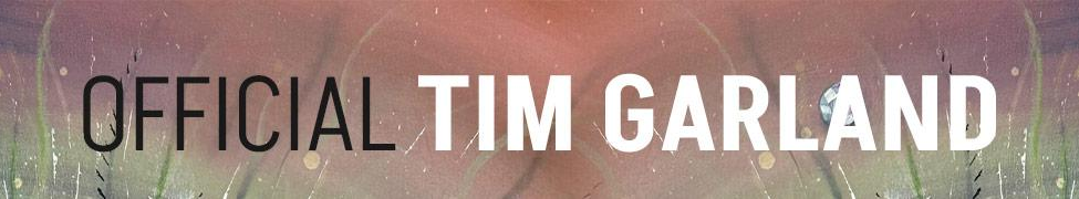 MEZZO | Tim Garland