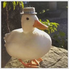 Red Robe Series | ïnnü