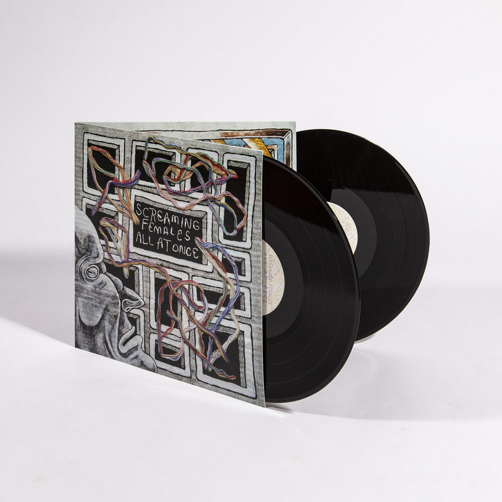 On Double-Album “All At Once,” Screaming Females Expand Their Sonic ...