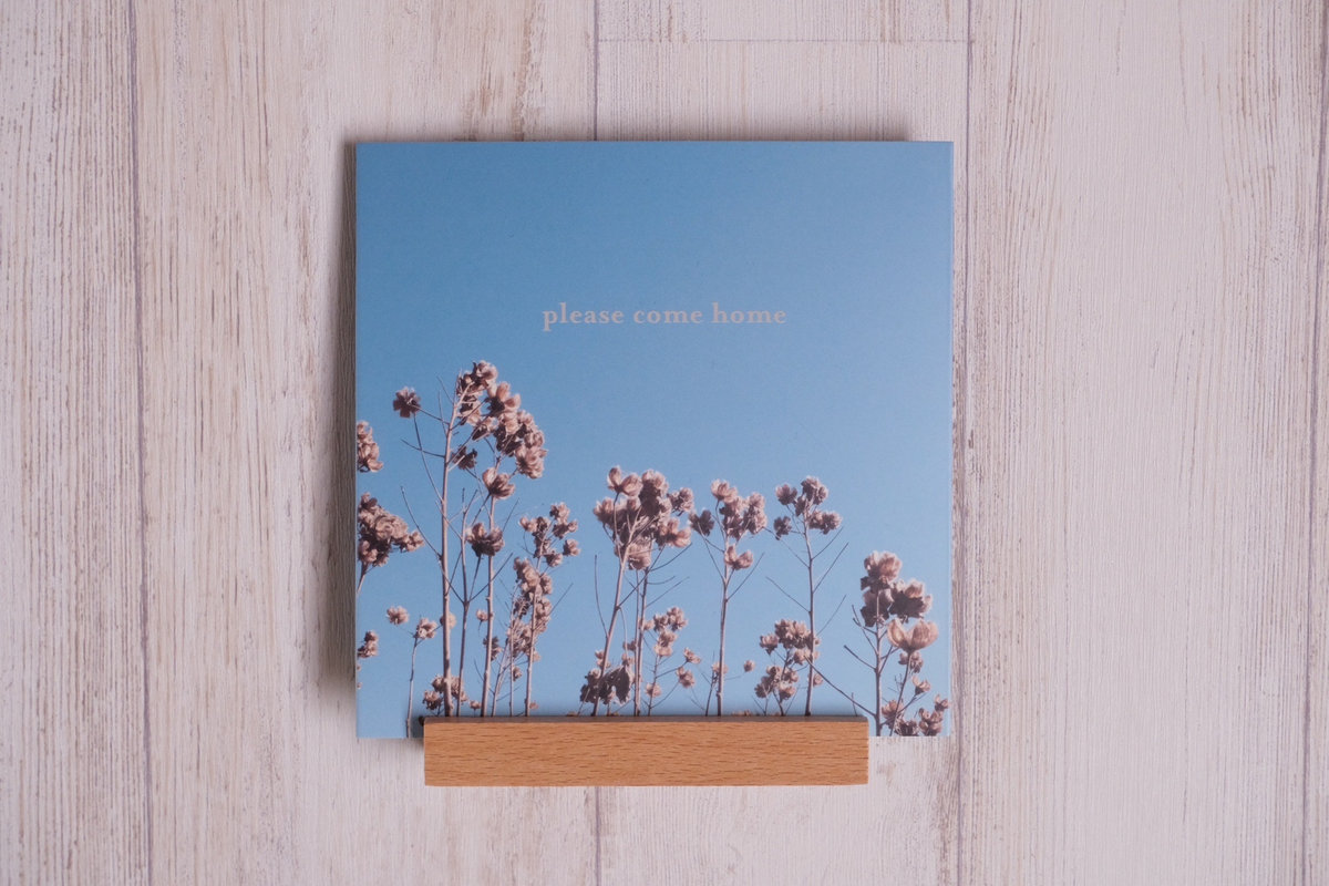 please come home | please come home