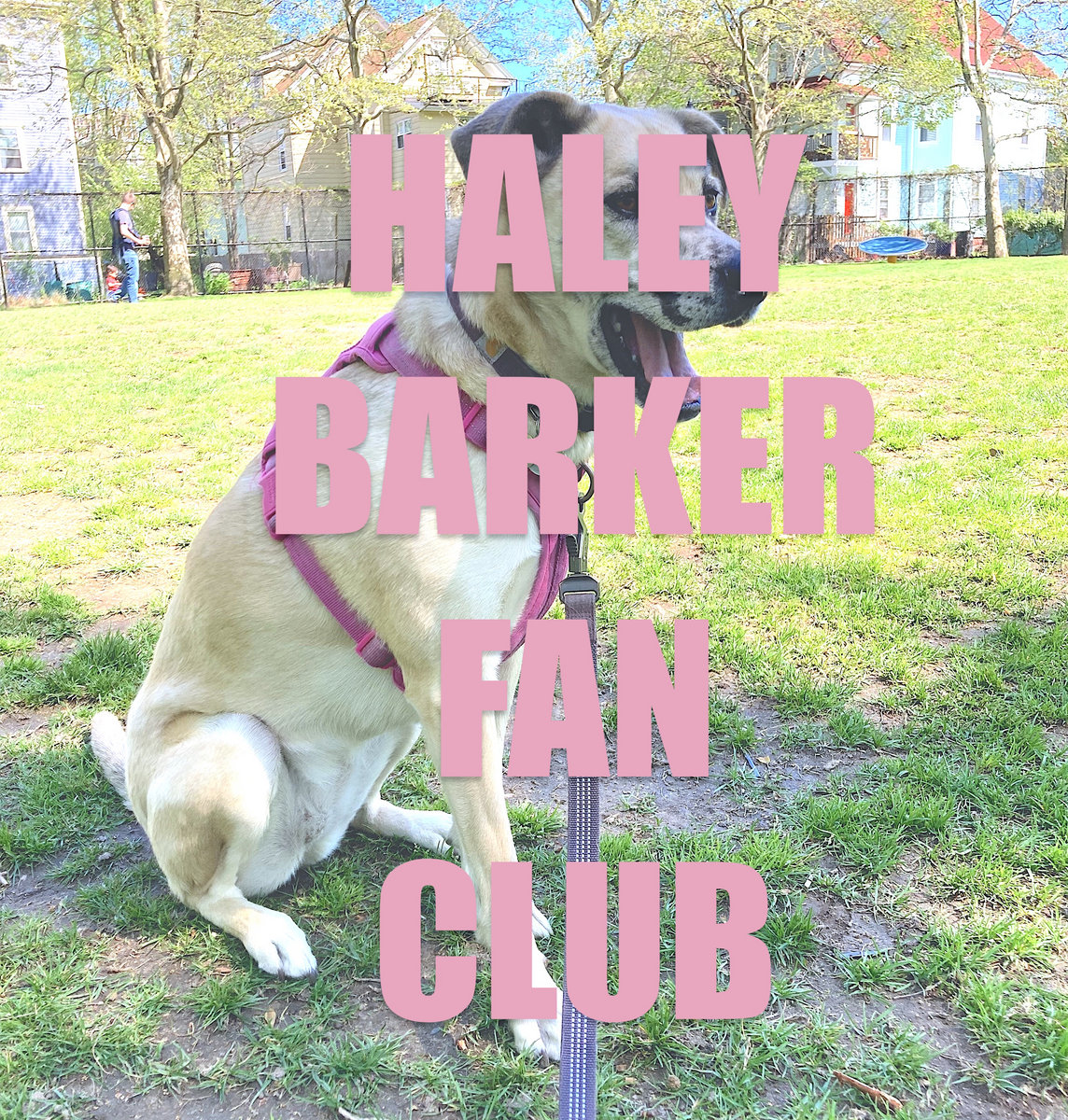 Sugarplum (club mix) | Haley Barker Fan Club