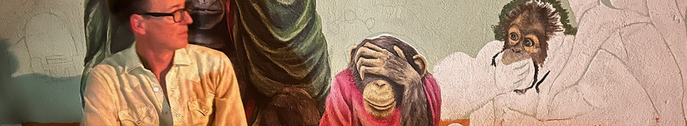 Mr. Misery | Danny Bee