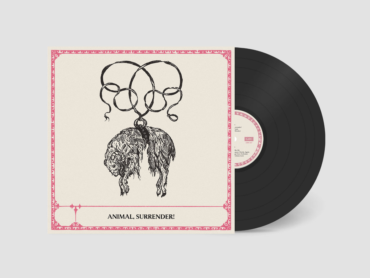 Animal, Surrender! | Animal, Surrender!
