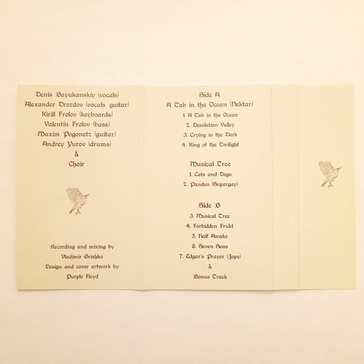 A Tab in the Ocean: Live in Jao Da | Musical Tree