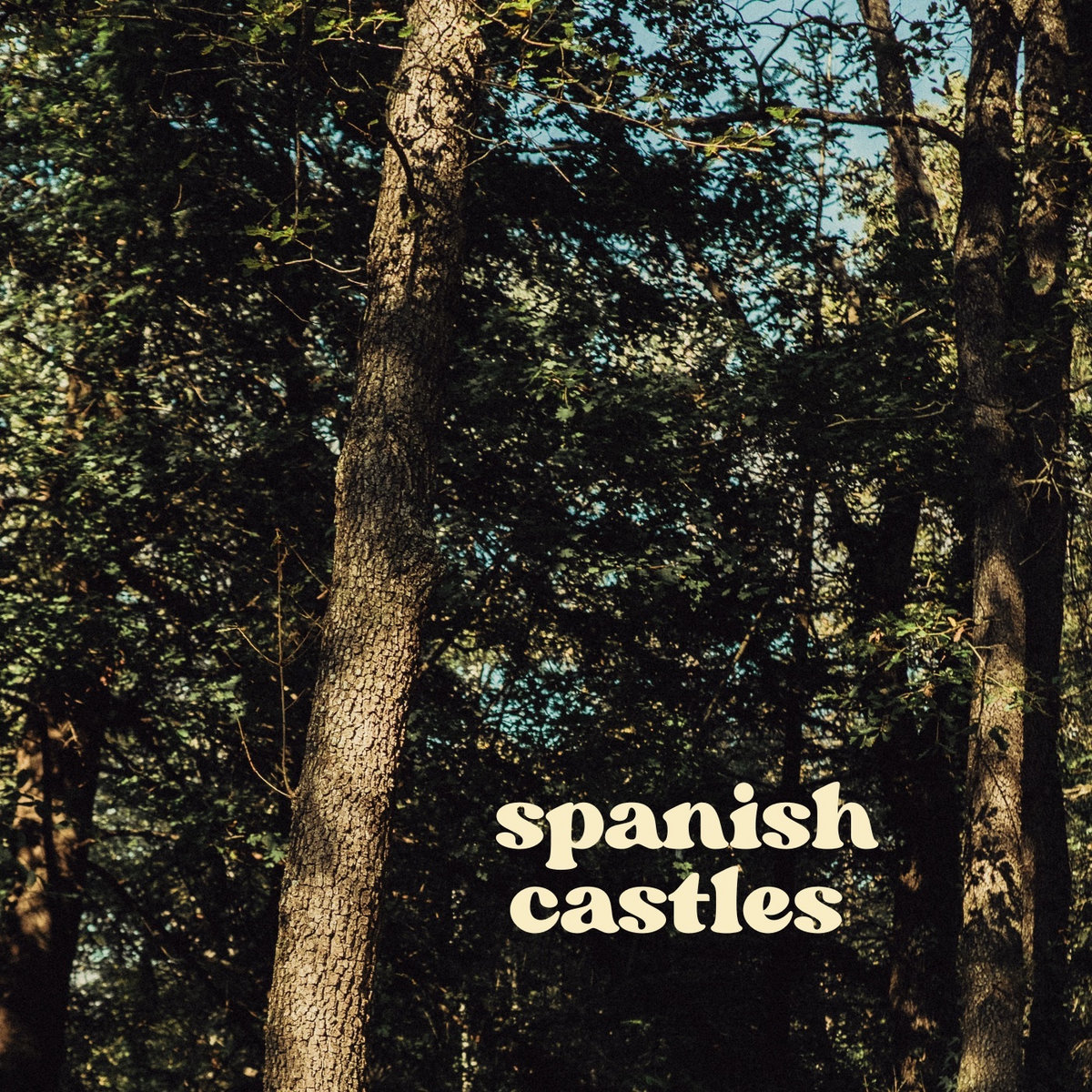 Analogue Tales: Sounds From Arden | James Summerfield and Darren Cannan ...