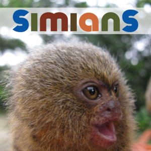 Music | Simians
