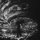 Luminescent Bridge | Blood Incantation