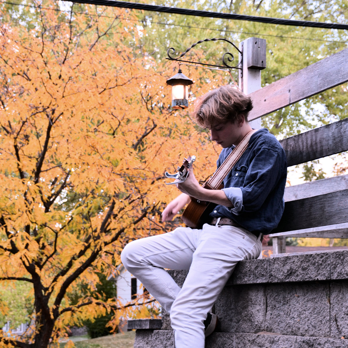 Little Raven | Zachary McLellan