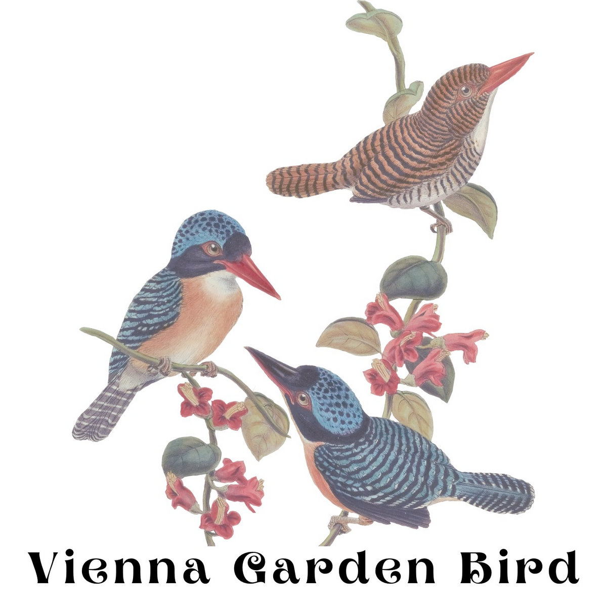 A House Prepared | Vienna Garden Bird