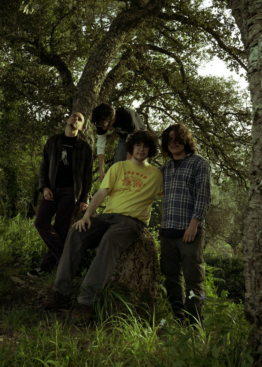 Reia Cibele | Reia Cibele