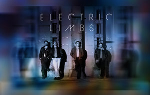 Music | Electric Limbs