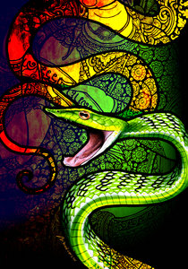 Music Backing Tracks Studio