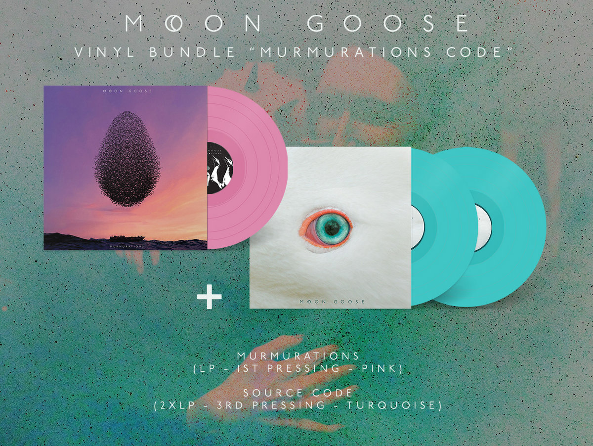 Murmurations | Moon Goose