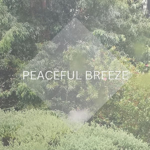 Music | Peaceful breeze by Chuan-ying