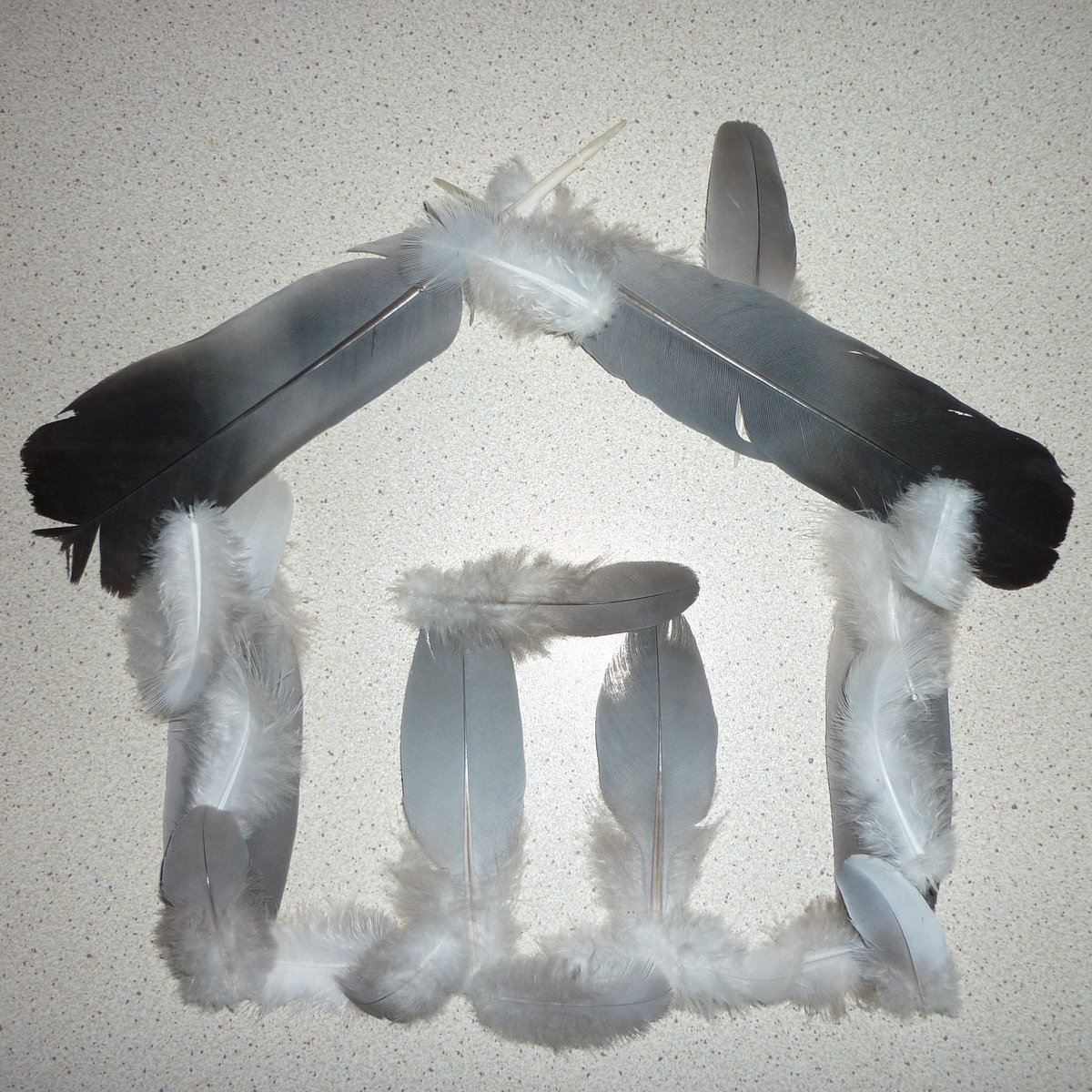 Dichotomy / Metamorphosis | Feather House